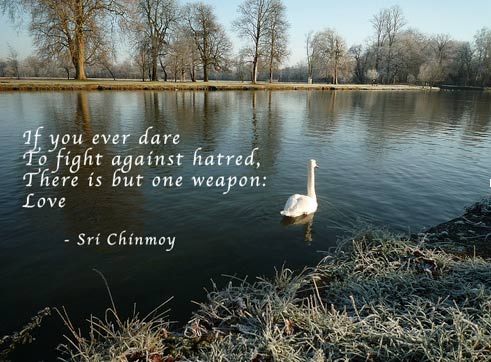 REPACK Poems-about-hate